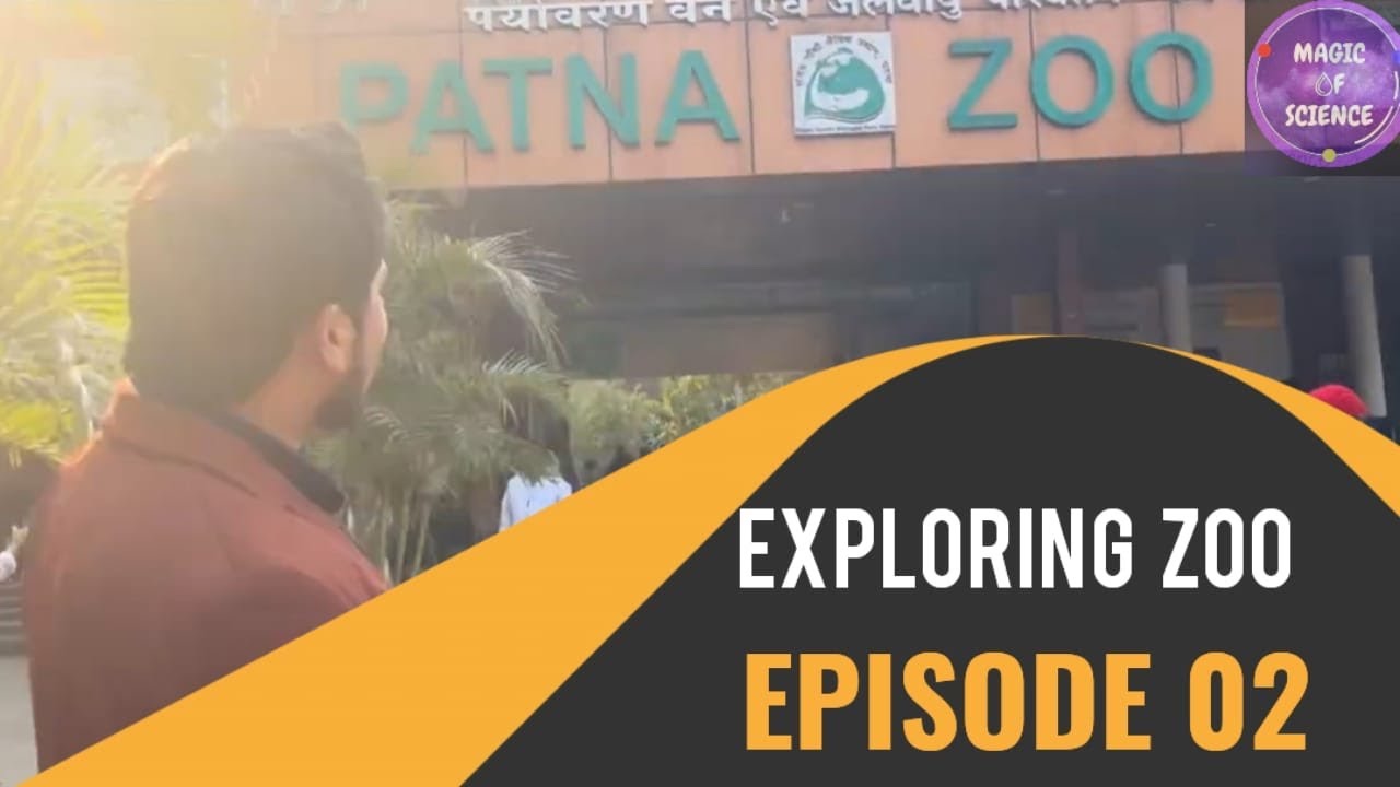 Exploring Patna Zoo: A Fun Day Out! PART - 2. - YouTube
