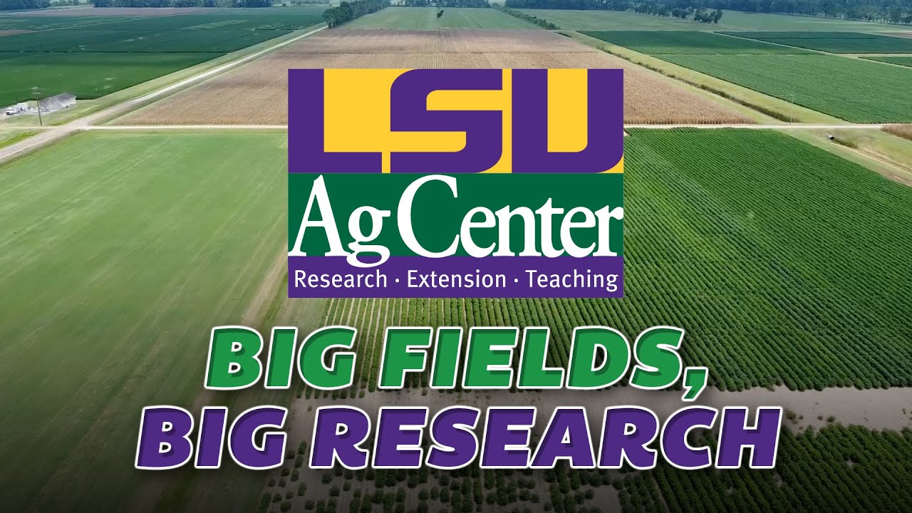 LSU AgCenter's Dean Lee Research Station - YouTube