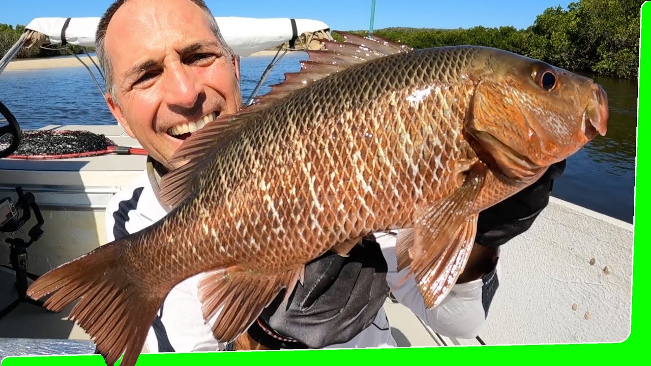 2nd Day boat camping - GT - Trout - Jacks - Topwater eats - EP.578 - YouTube