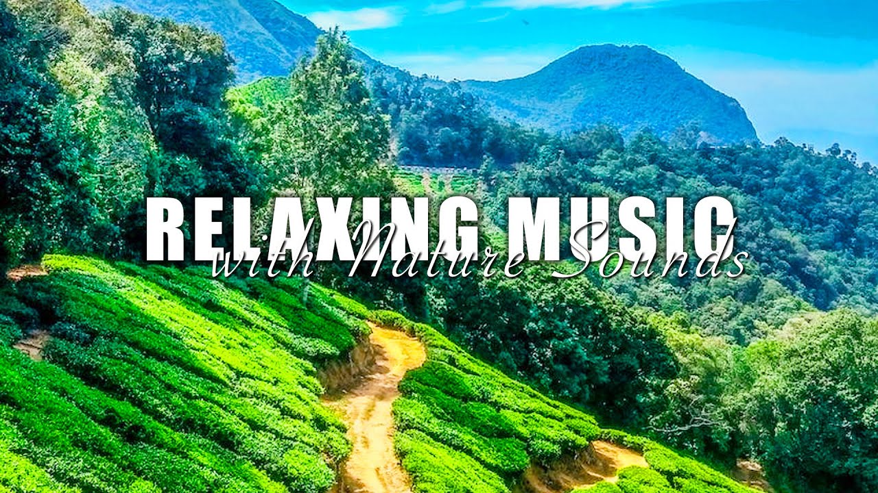 Wed Happy | Relaxing Music & Nature Sounds | Music Heals the Heart ...