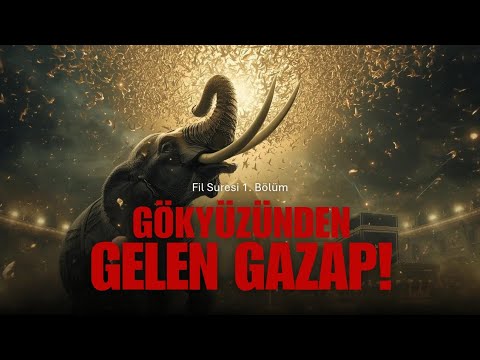 60.000 Kişilik Orduyu Yok Eden Kuşlar! | Fil Suresi Mucizesi