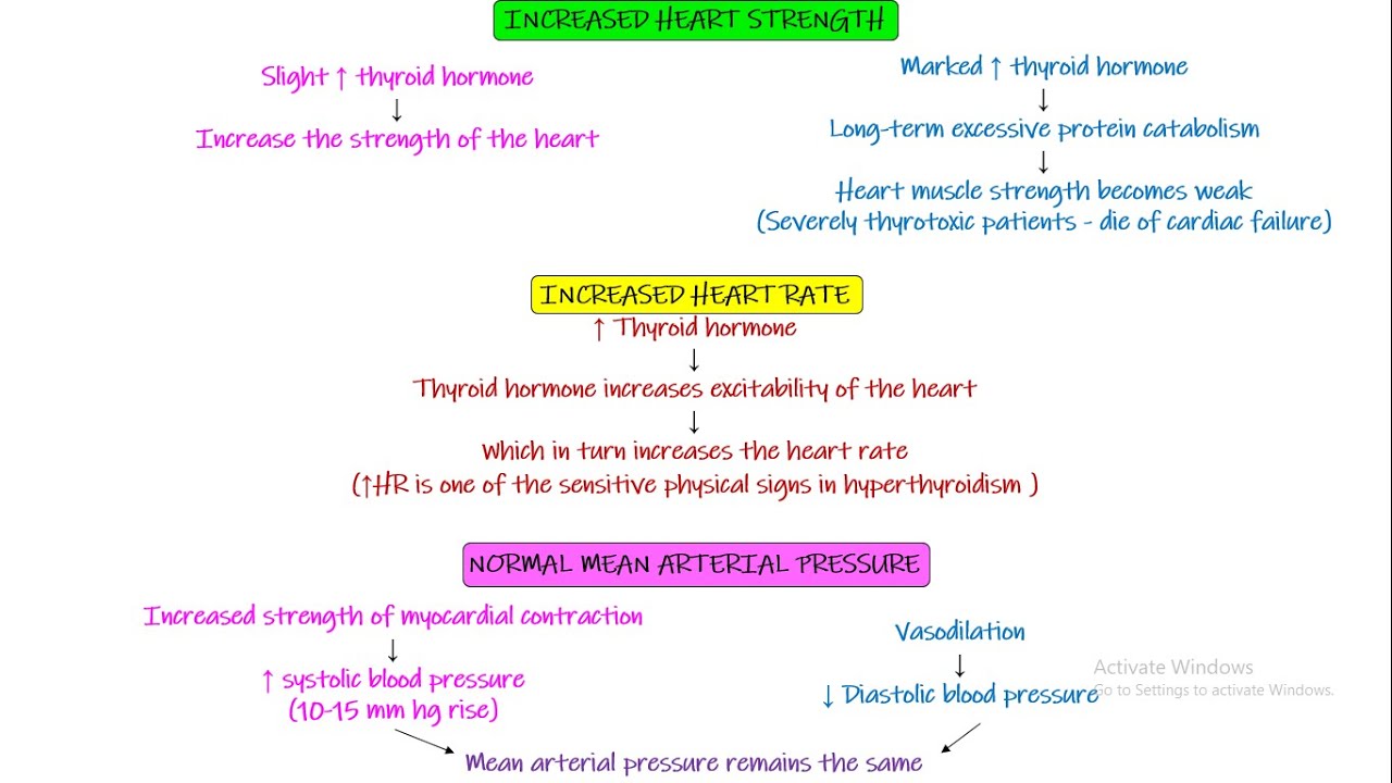 Effect of Thyroid hormone on heart, lungs, GIT, CNS. Chapter 77 part 6. Guyton and Hall ...