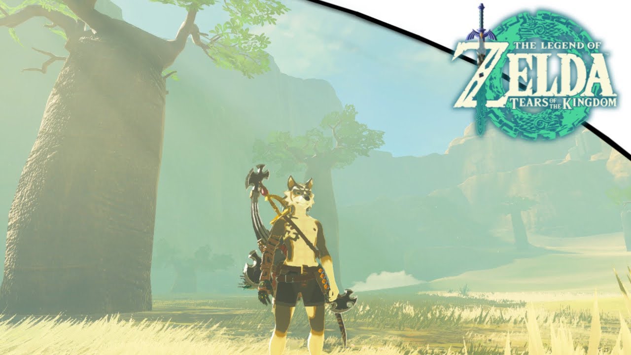 LINK LOUP ! - ZELDA TOTK : MOD [#6] - YouTube