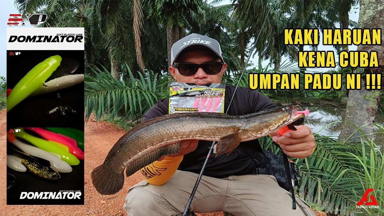 REVIEW EXP DOMINATOR Soft Plastic BEARING Noisy Shaker | Casting Haruan ...