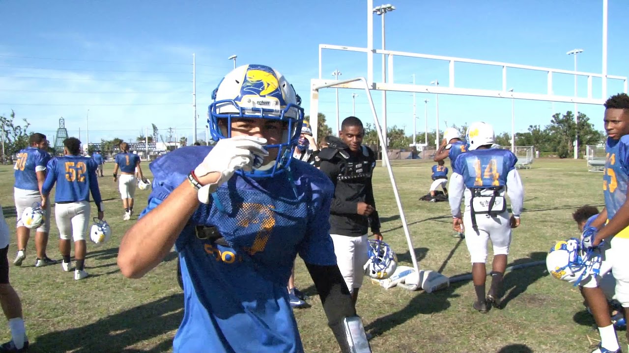 Marathon High School Dolphins playing for the Championship Nov 3, 2017 ...