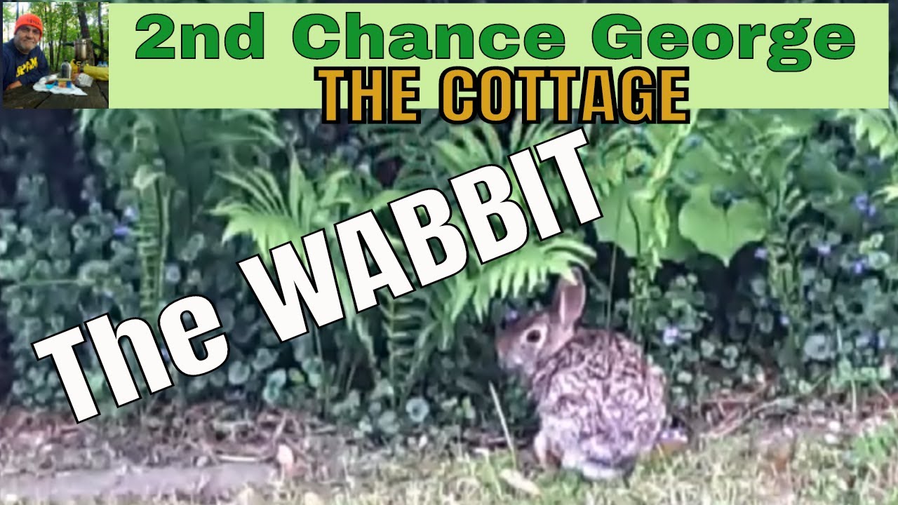 The Wabbit - YouTube