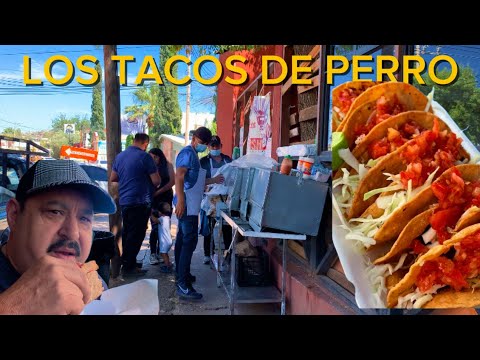 TACOS DE PERRO EN NOGALES ??SERA SIERTO??? - YouTube