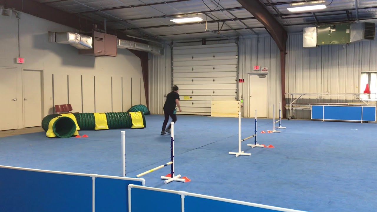 Tulip training 6/3/19 - YouTube