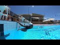 Push And Glide Swimming Drills, Videos and Coaching | Sportplan