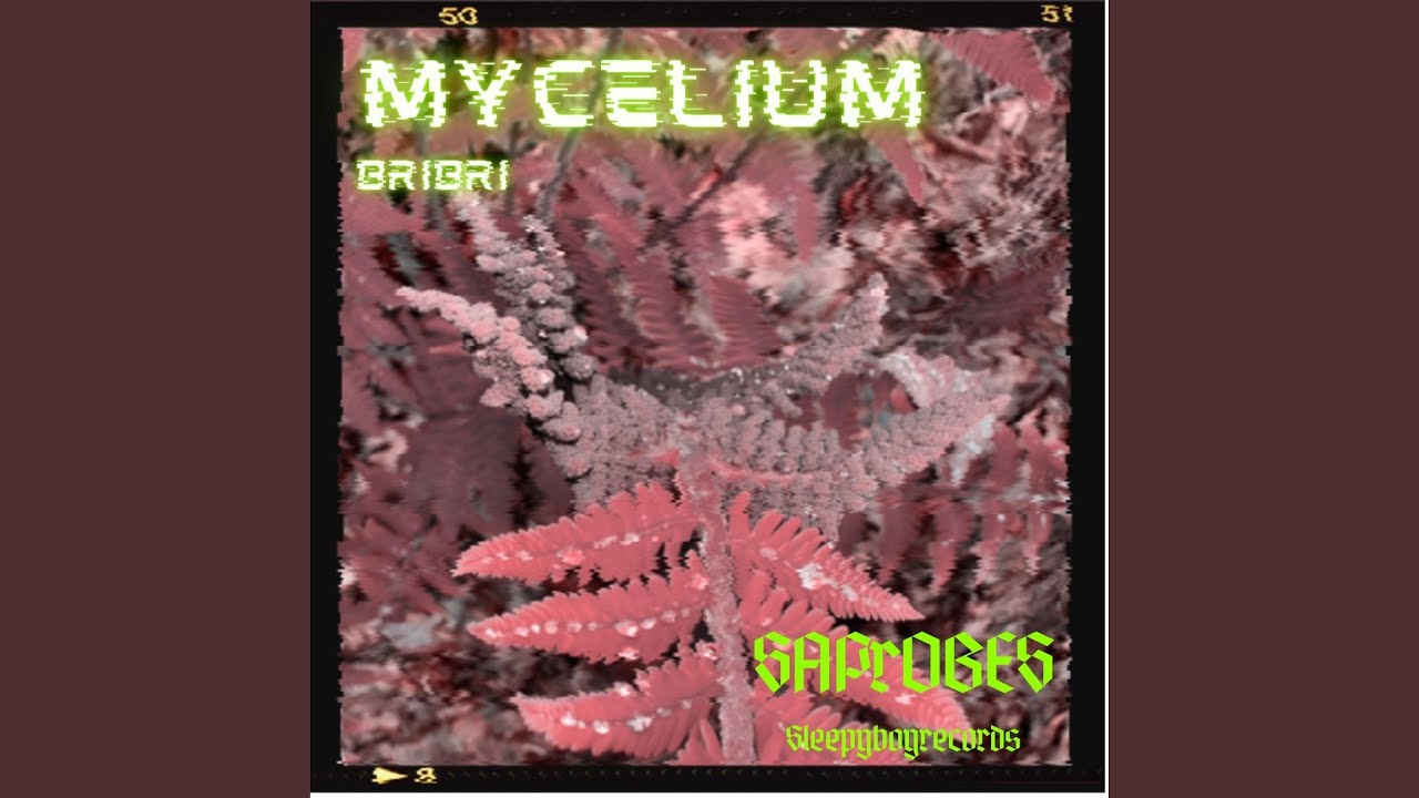 Mycelium - YouTube