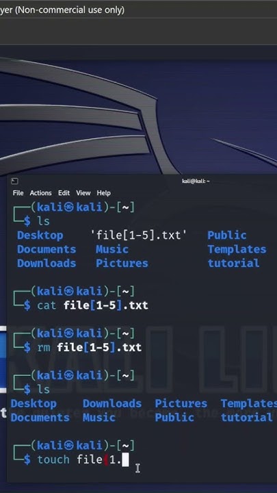 31 May 2024 Find Command Shorts In Kali Linux Linux Cybersecurity Linuxcommands