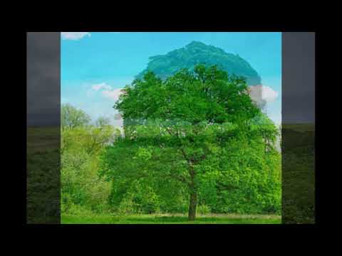 Михаил Гулько  - \
