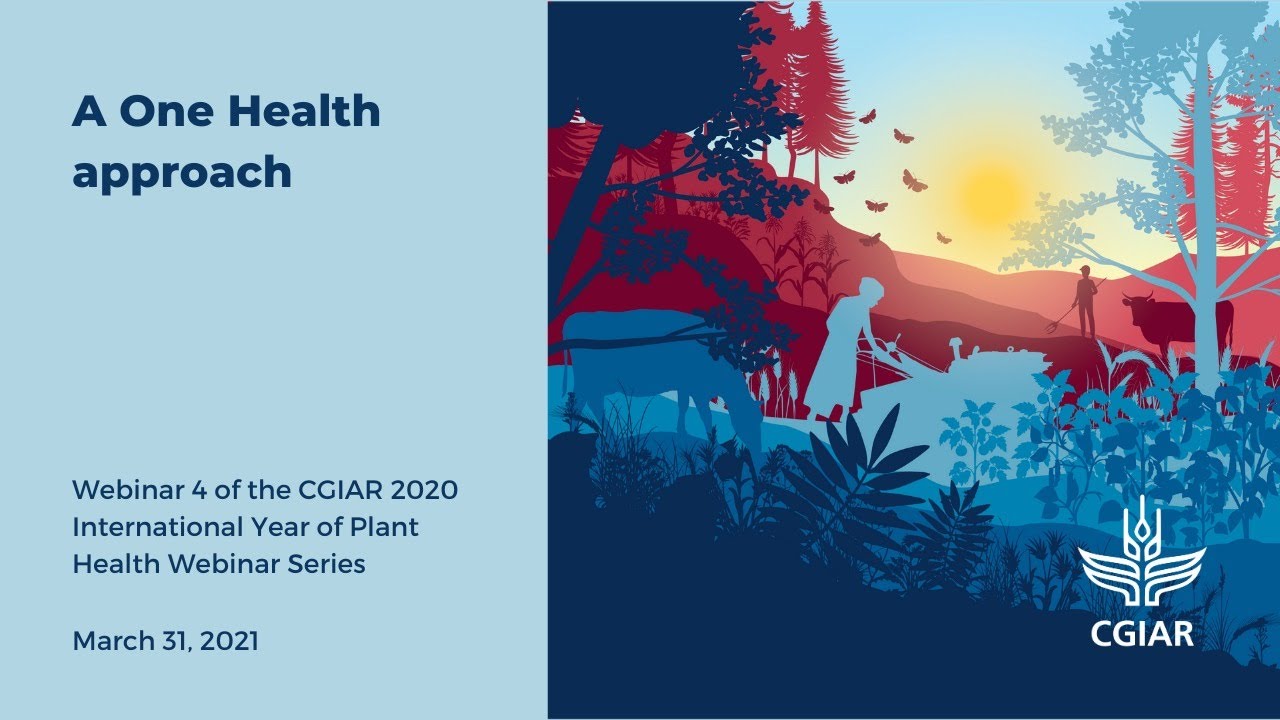 A One Health approach - YouTube