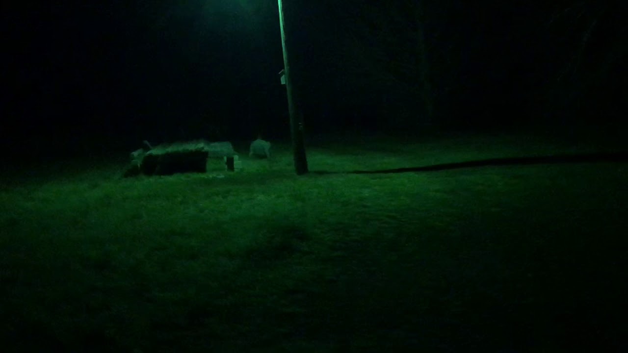 Spooky skinwalker sighting (totally legit not fake 100%) - YouTube