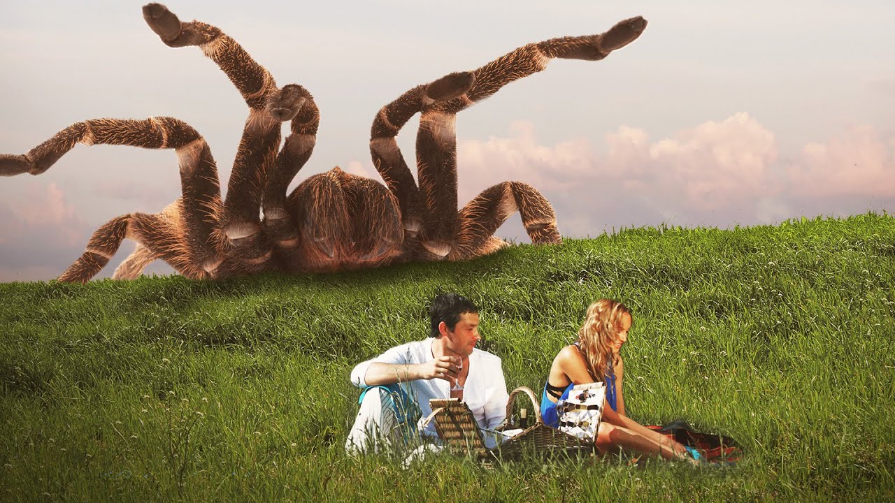 Bagaimana Kalau Laba-Laba Raksasa Memenuhi Semua Jalan Di Bumi dan ...