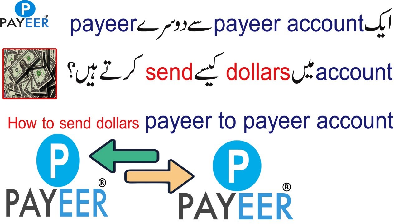 How to transfer money Payeer to Payeer account|USD|PAYEER WALLET|payeer ...
