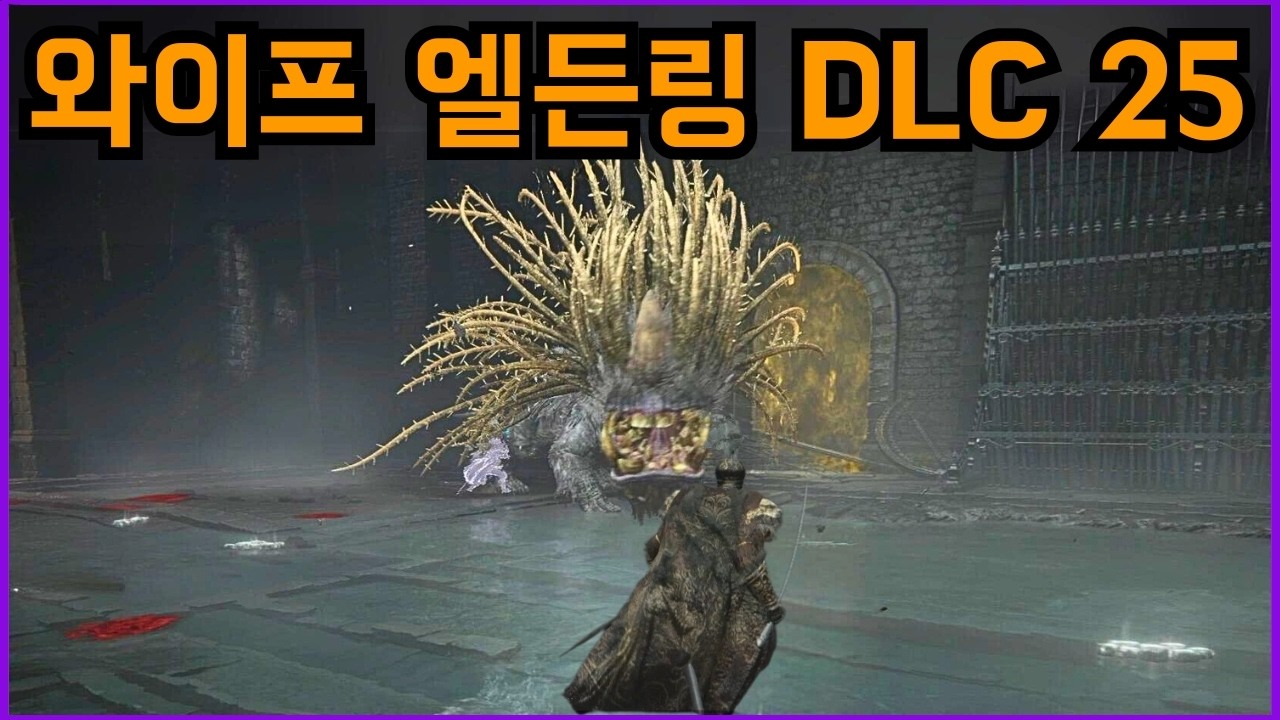 와이프 엘든링 DLC 25 - YouTube