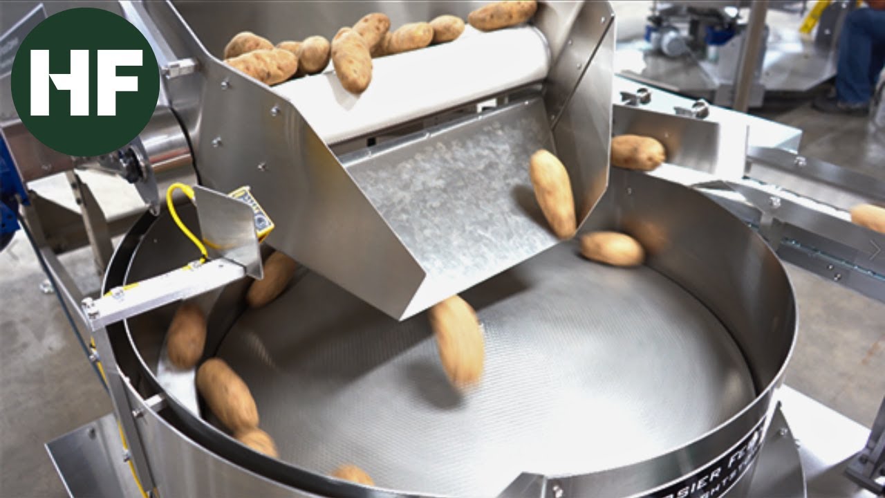 Stainless Steel Orienting Conveyor for Potatoes - YouTube