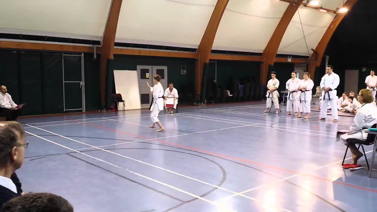Bassai Dai - Ippon Ken Karate Championship 2014 - YouTube