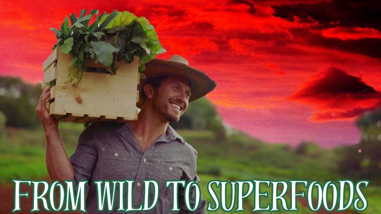 The Secret History of Nature's Powerhouse Foods #superfoodsevolution # ...