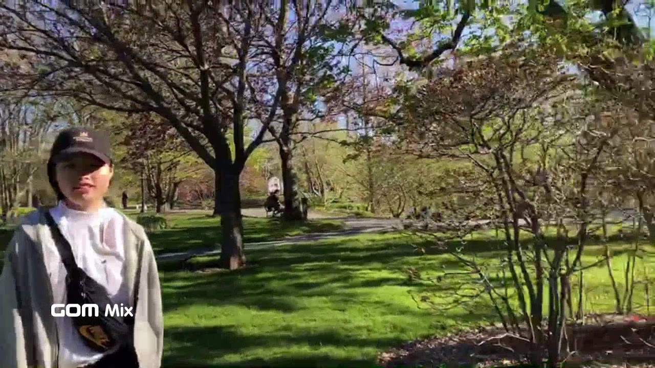 Halifax SPRING GARDEN park 공원 - YouTube