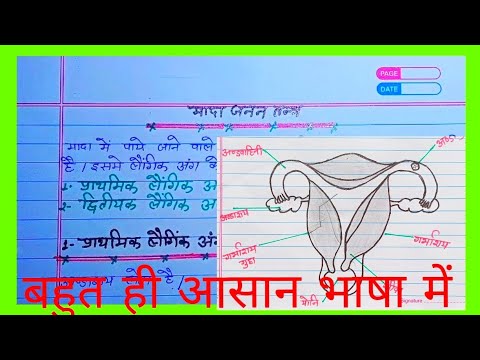 मादा जनन तंत्र ||mada Janan tantra || female reproductive system ...