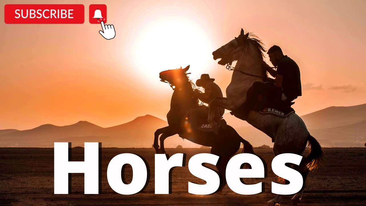Beautiful Horses & Scenery Set to Relaxing Piano Music to Help Sleep ...