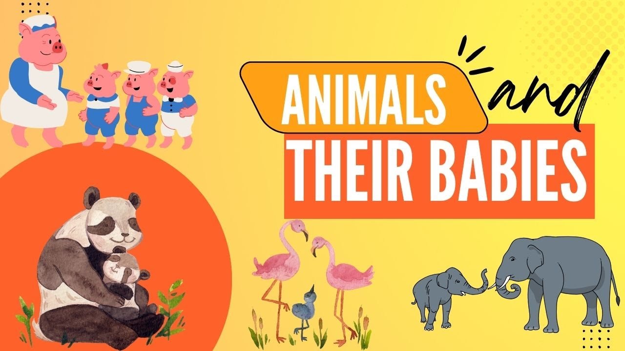 "Animals and their young ones | Animals babies | Animals and their ...