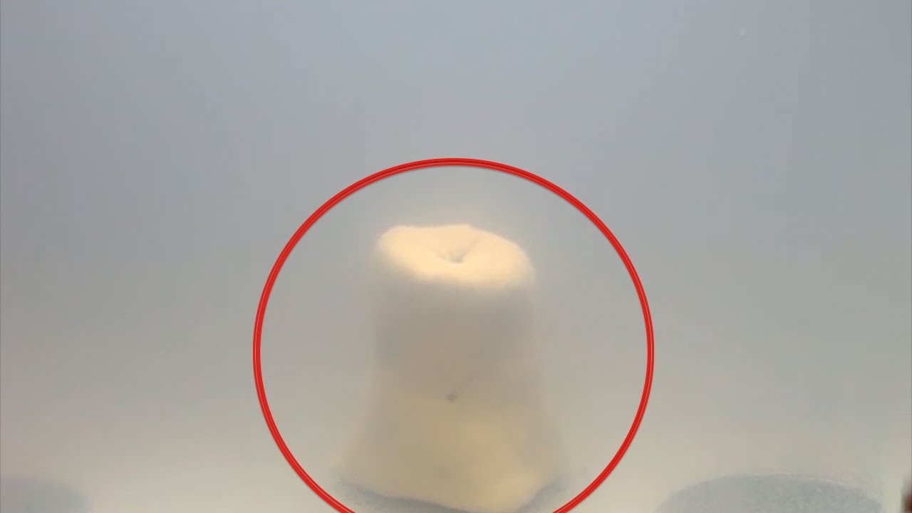 NEW HOMUNCULUS - 2 Homunculi fused to Form a New Creature? - YouTube