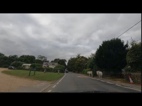 New Forest drive - YouTube