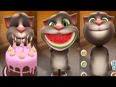 Talking Tom Cat Editing Funny Max In Gameplay Talking Tom Ginger 🐈 ...