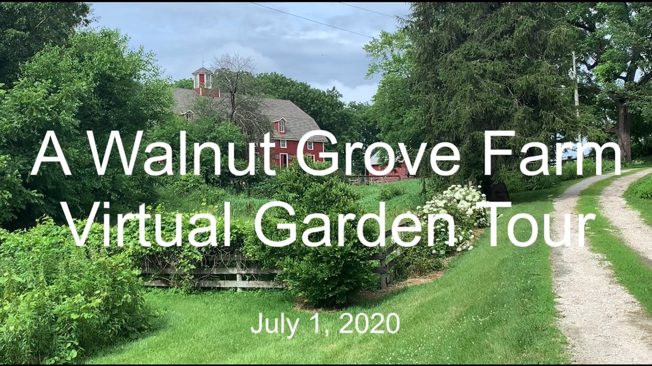 A Walnut Grove Farm Virtual Garden Tour - YouTube