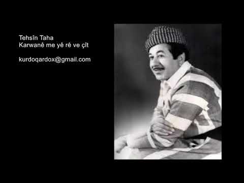 Tehsîn Taha, Karwanê me yê rê ve çît