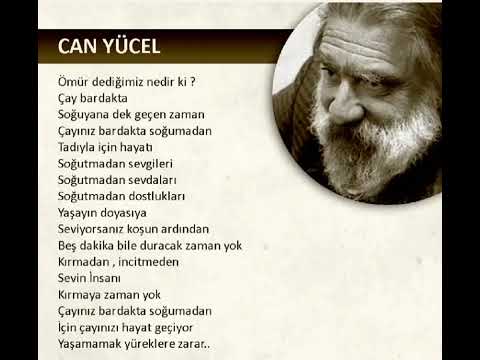 Can YÜCEL \