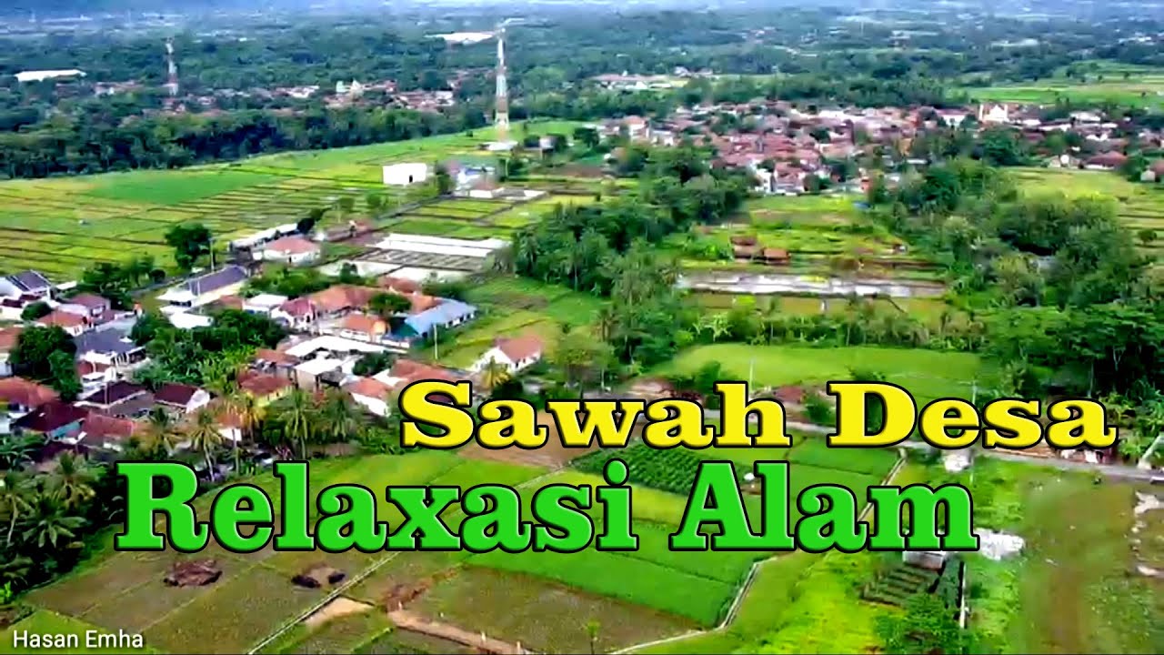 Cinematic Alam Desa Sawah - YouTube