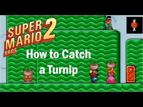 Super Mario Bros. 2 for All Stars, SNES - Vegetable Catching ...