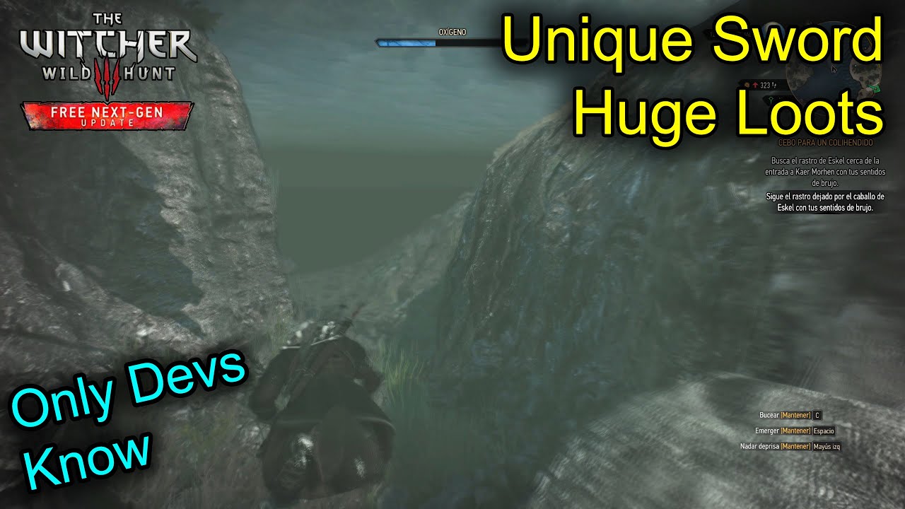 Only Devs know this Unique Sword and These Loots - The Witcher 3 Wild ...