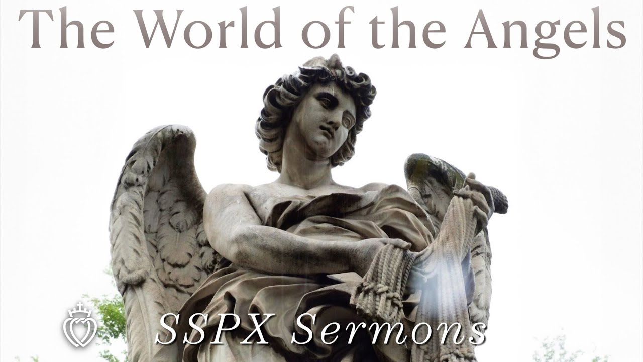 The World of the Angels - SSPX Sermons - YouTube