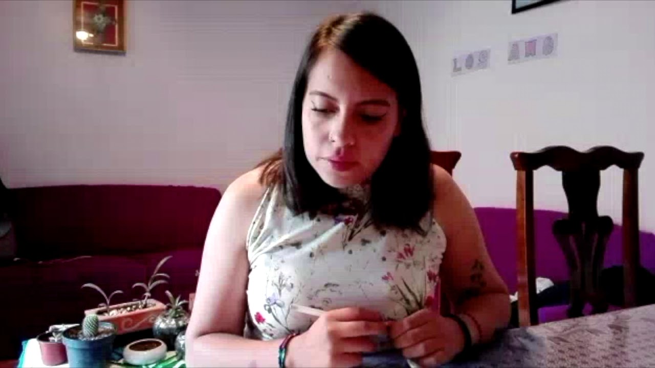 PROYECTO DE NORMA OFICIAL MEXICANA NOM-029-FITO-1995. - YouTube