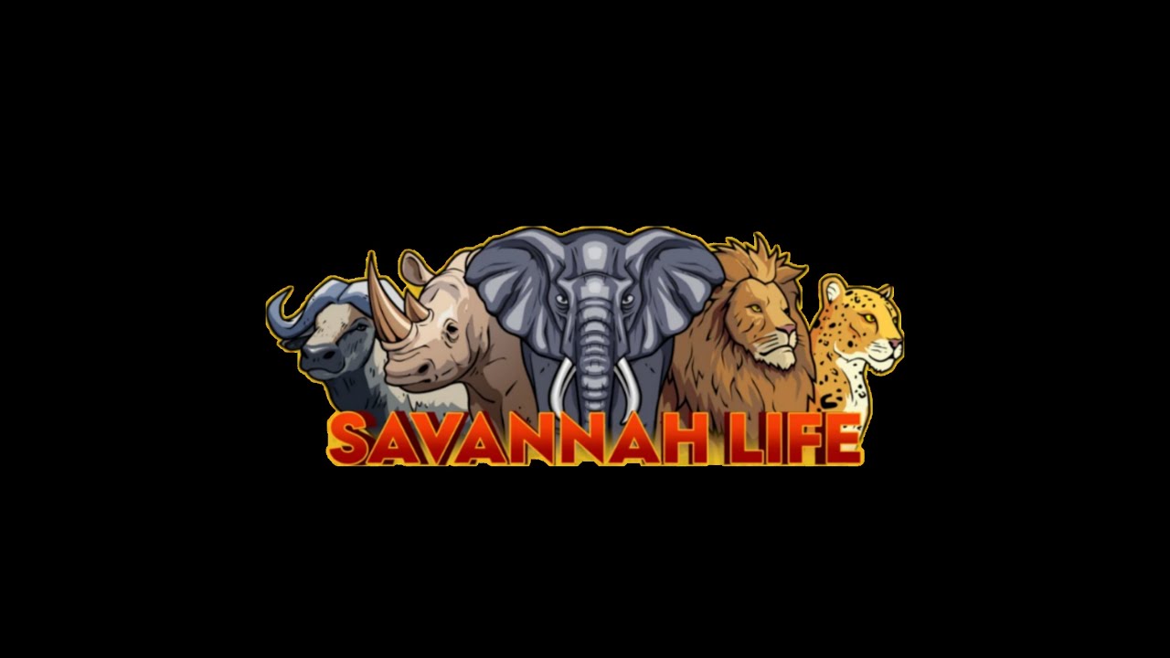 SAVANNAH LIFE da ROBLOX, JOGO de Animais Africanos ! GAMEPLAY / LIVE ...