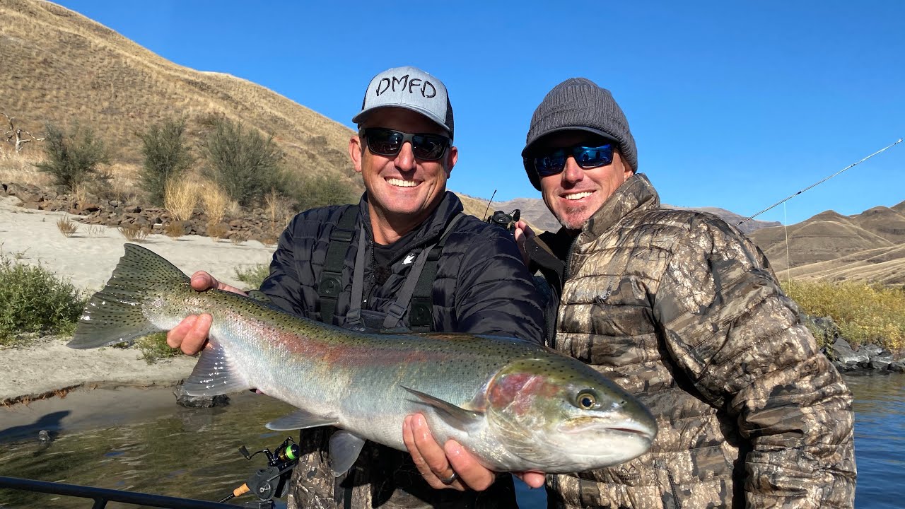 The Fish of a MILLION casts! on the Snake River: Monster Steelhead ...