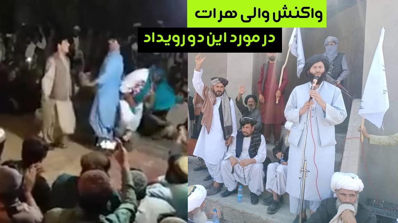 Sayed Wahid Qatali | صحبت های والی هرات در مورد ملا منان نیازی و مردم ...