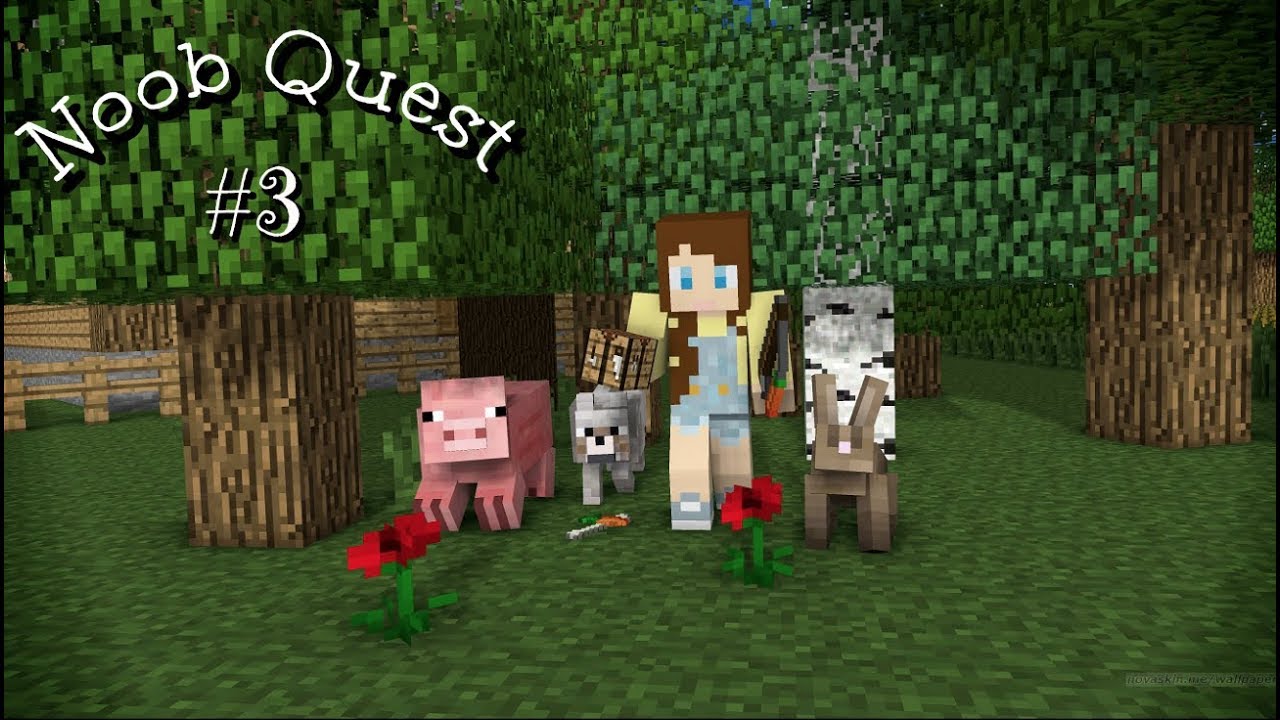 A Nameless Donkey! - Noob Quest (Ep. 3) - YouTube