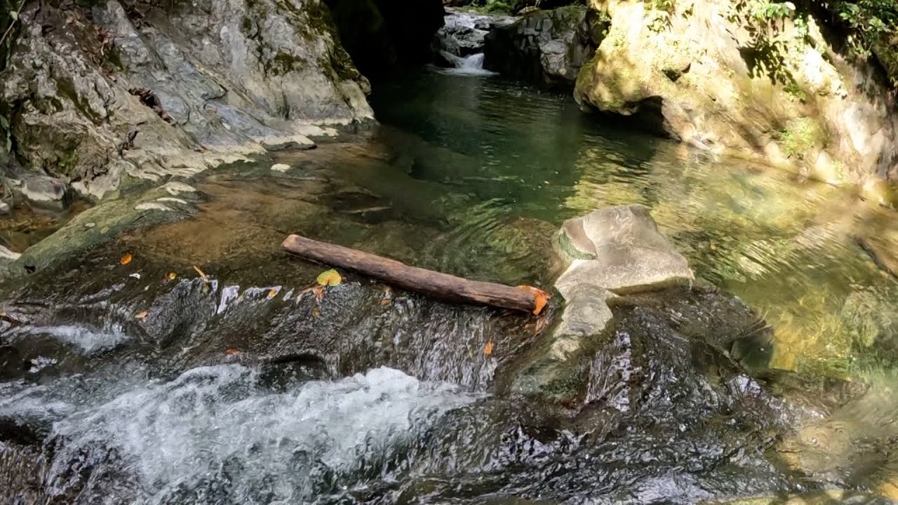 Right Here Exploring Aripo’s Hills, Caves And Valleys - YouTube