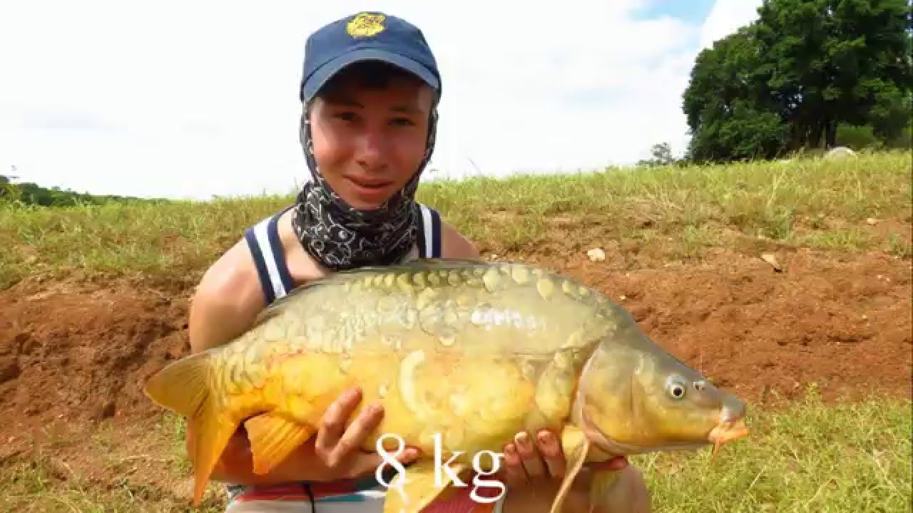 Tzaneen Dam Carp Fishing 2015 - YouTube