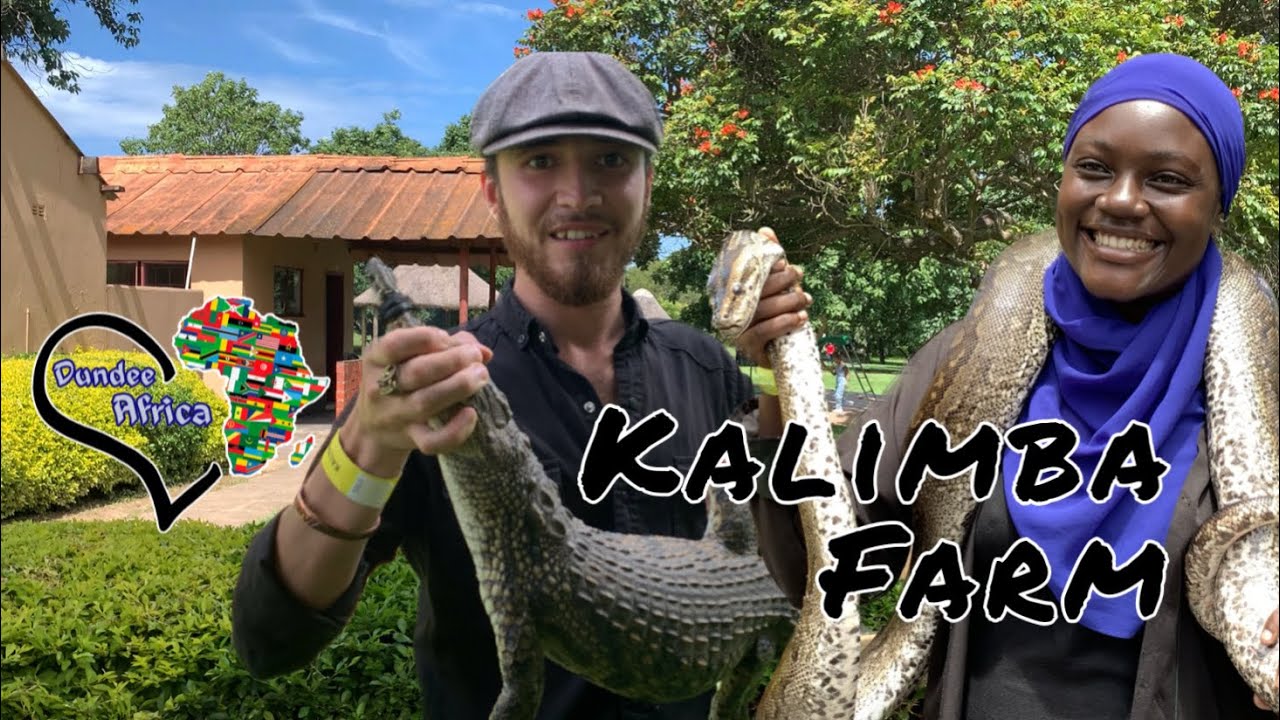 Kalimba reptile park ~ Zambia - YouTube