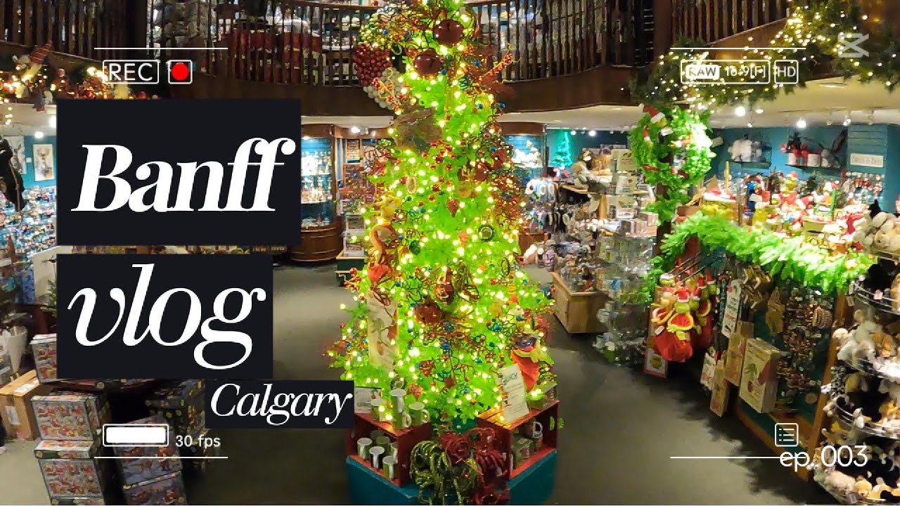 캘거리 Banff 구경(기념품샵 위주) 브이로그(Calgary to Banff Sightseeing Vlog (Focused ...