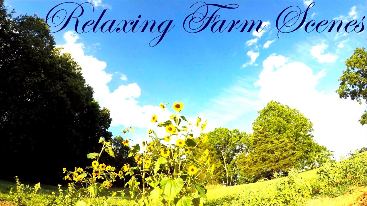 Relaxing Farm Scenes set to Classical music (time lapse and drone ...