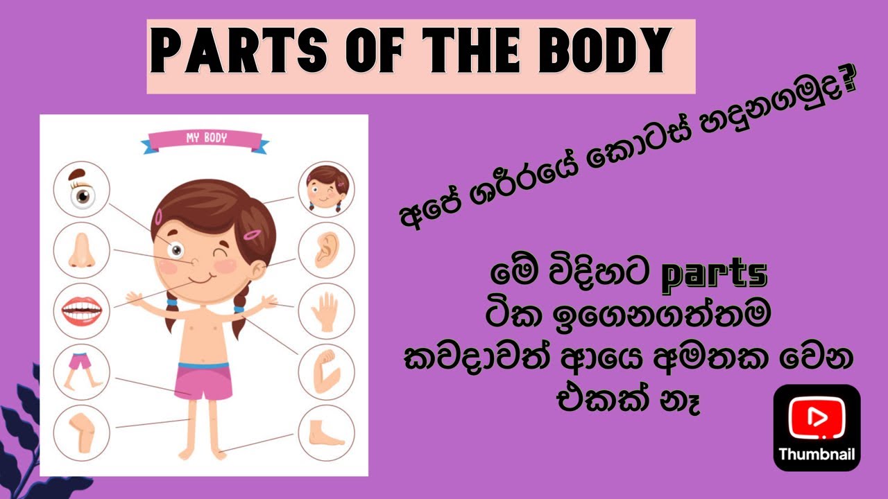 Learn Parts of the Body in English | Easy Vocabulary Lesson Parts of ...