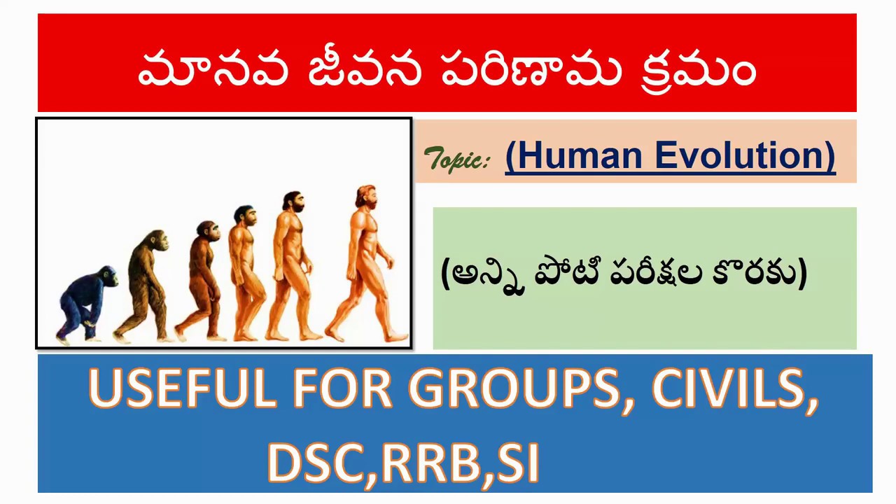 INDIAN HISTORY HUMAN EVOLUTION. - YouTube